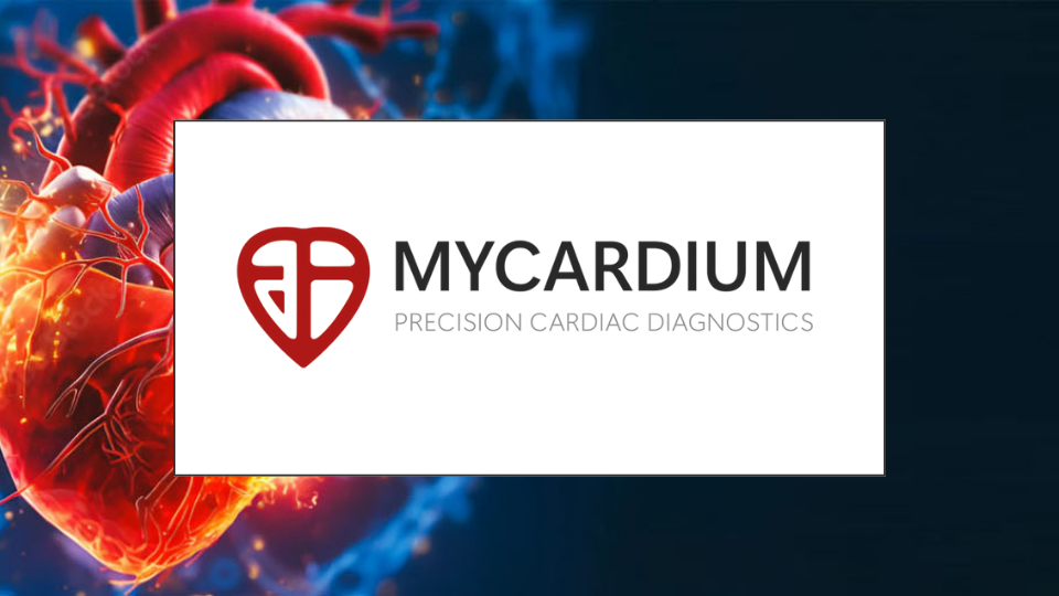 LYVA Labs - Case Studies